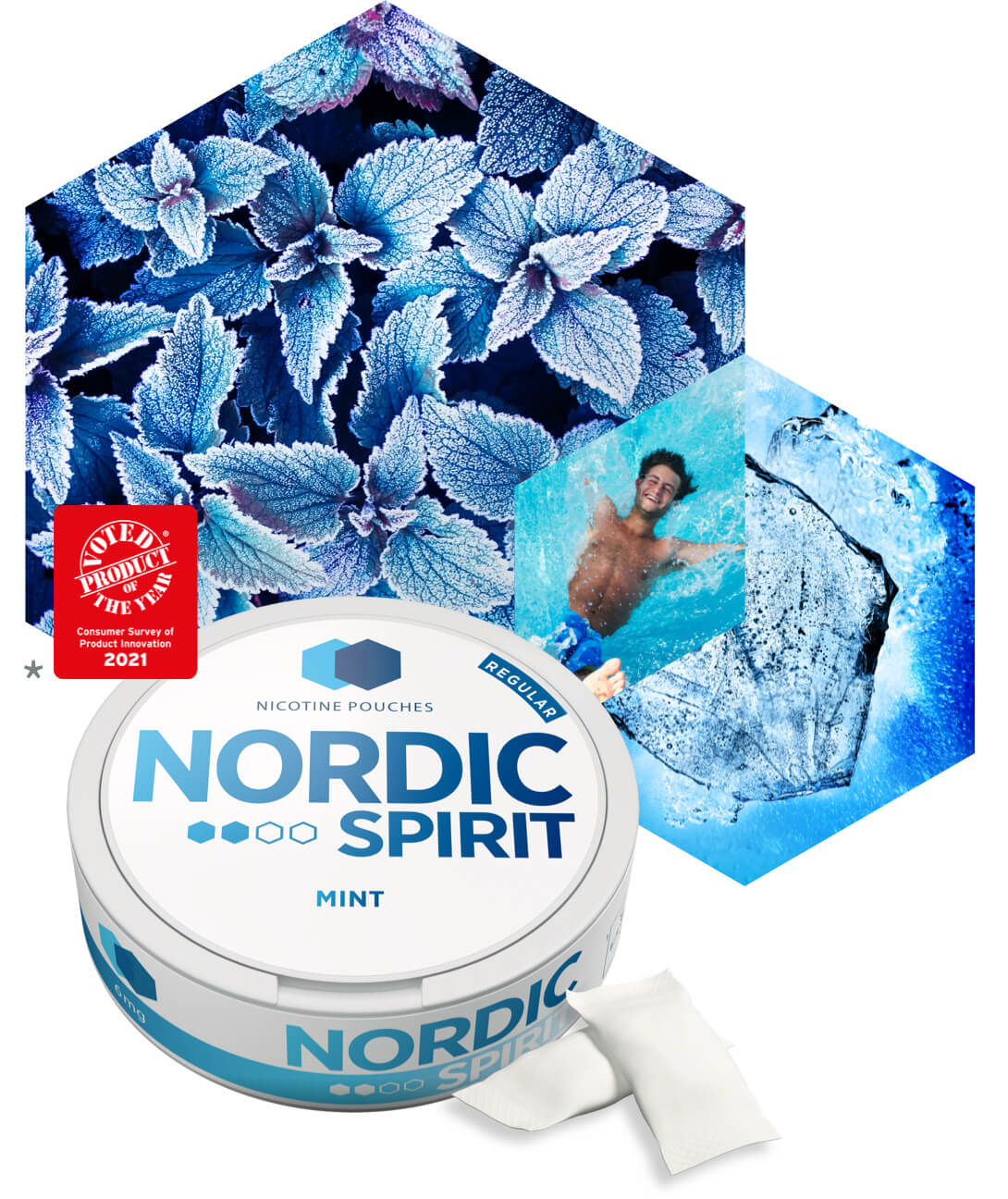 Mint Flavoured Nicotine Pouches | Nordic Spirit